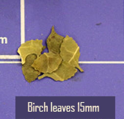 miniature Leaf Maker Real deciduous leaves Military Model Scenario ...