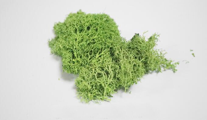 DIY Miniature Model Simulation Bush 450ml Low Grass Lichen for Military ...