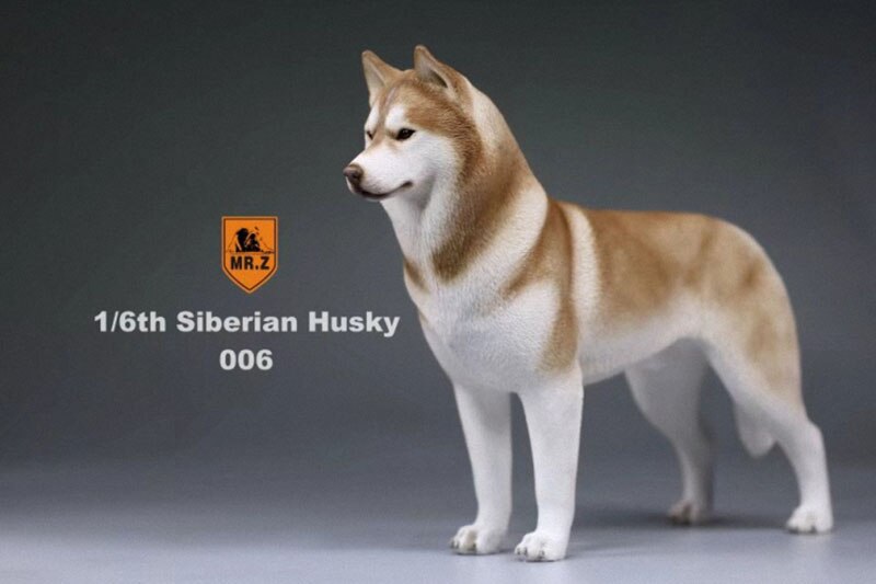 1/6 Mr.Z Siberian Husky Simulation Model Toy for 12" Action Figure ...