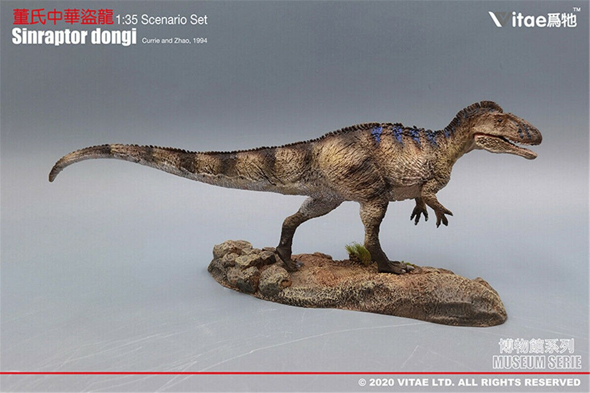 Vitae 1:35 Scale Sinraptor Tiantaiosaurus Wuerhosaurus Dinosaur Figure ...