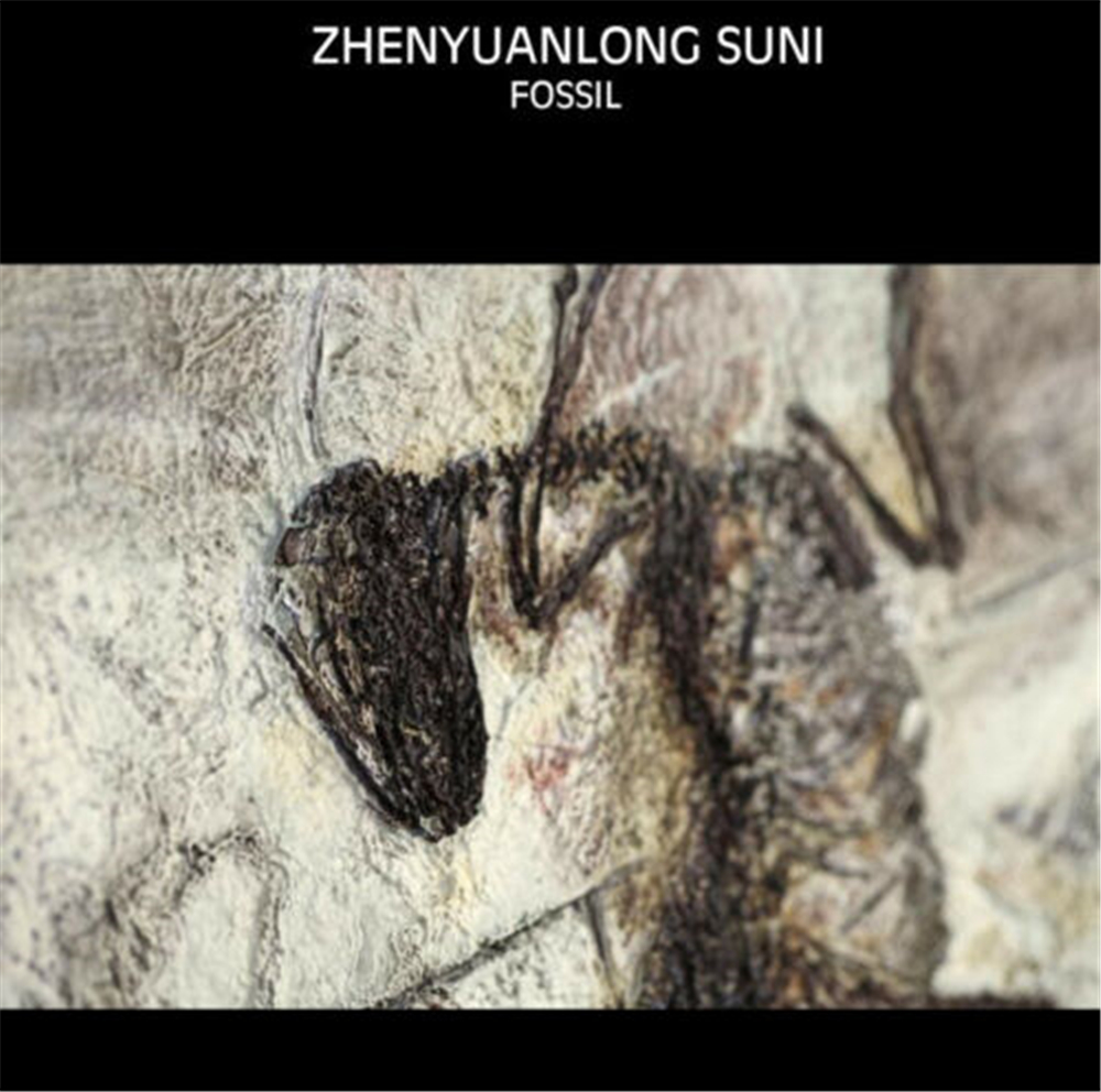 Zhenyuanlong Suni Dinosaur Fossil Photo Frame Toy Animal Collector ...