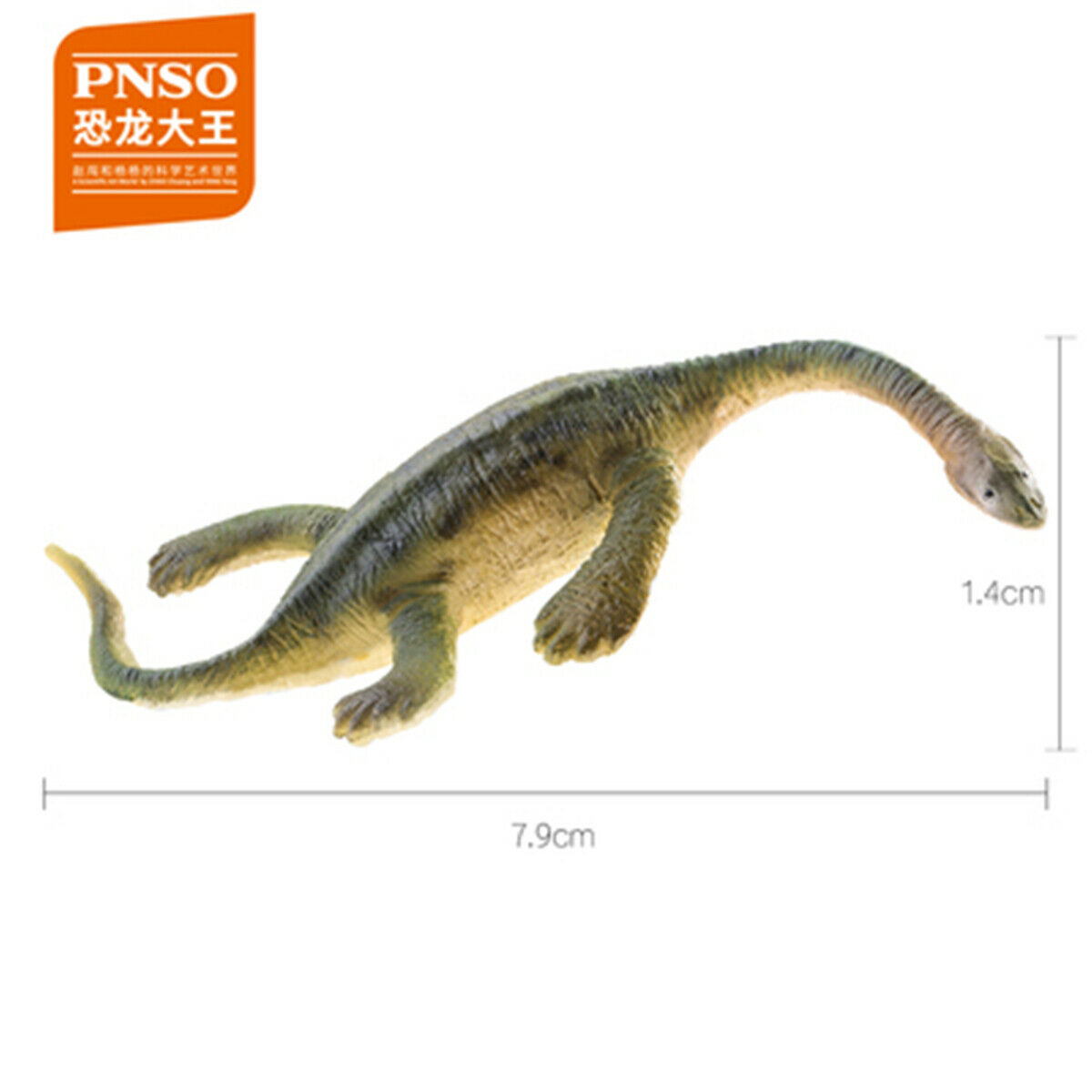 PNSO Alioramus Keichousaurus Spinops Dakosaurus Ectenosaurus Dinosaur ...