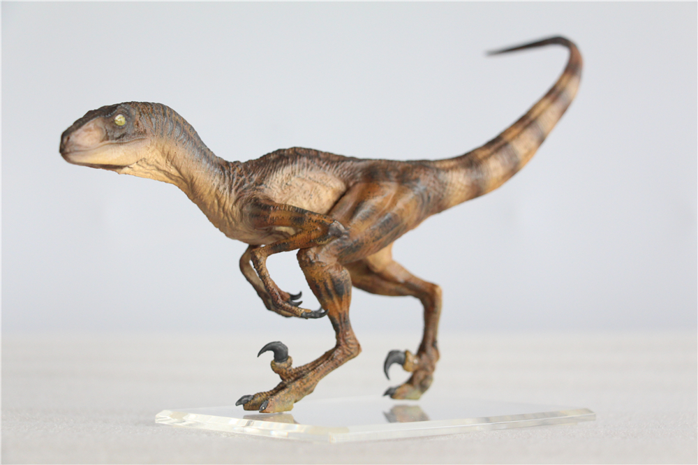 Velociraptor Dinosaur Model 1:15 Scale Collector Toy for Adults ...