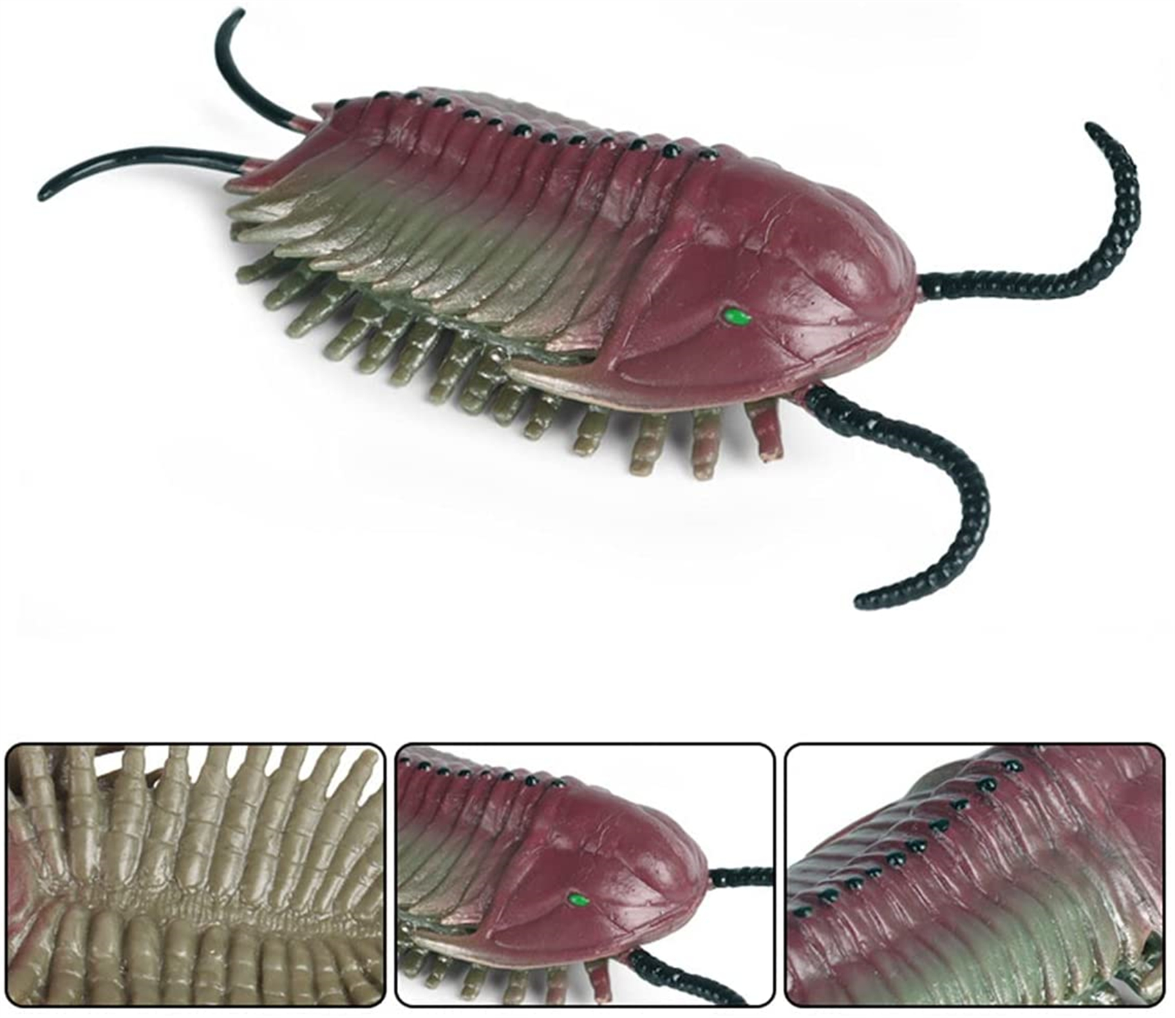 Marine Animal Figure Set Cephalaspis Eurypterus Trilobita Educational ...