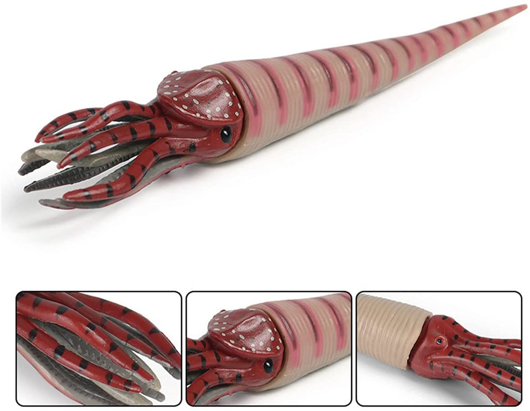 Marine Animal Figure Set Cephalaspis Eurypterus Trilobita Educational ...